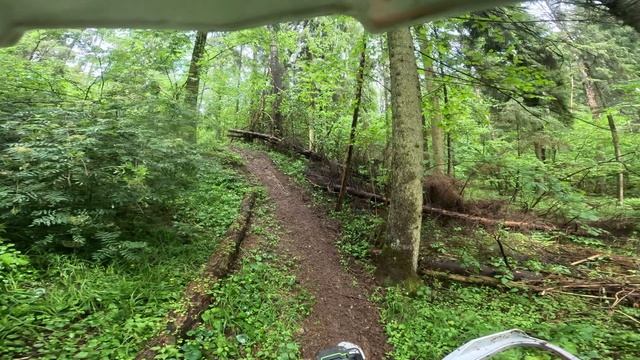 Фаза после дождя