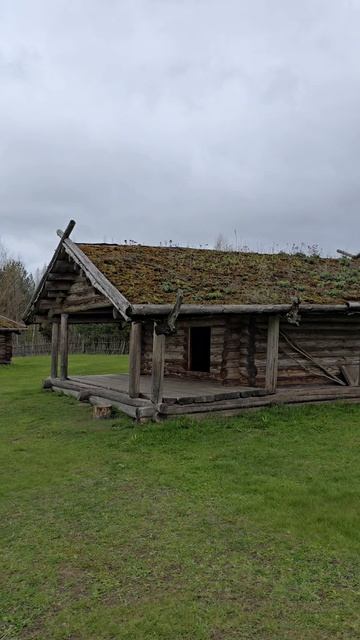 На берегах Мсты