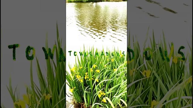 Drunk by illusions @Townshadows