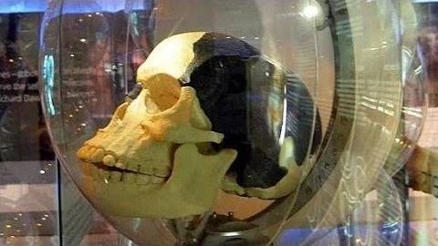 Пилтдаунский человек. Эволюционная антропология как лженаука