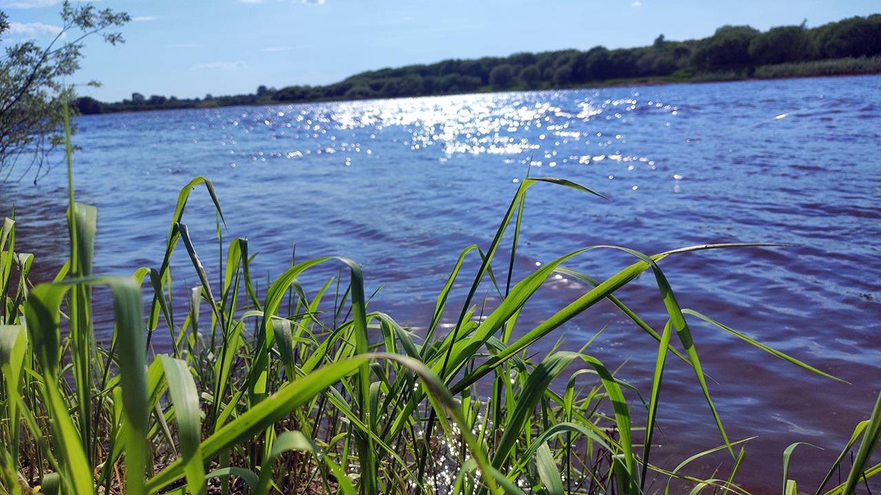 Рыбалка на Вятке. Рыбалка с прикормкой, первый опыт. Классный летний поход, чай со смородиной.