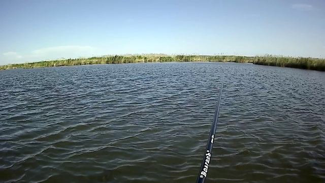 Рыбалка май Омская область Щербакуль 2025