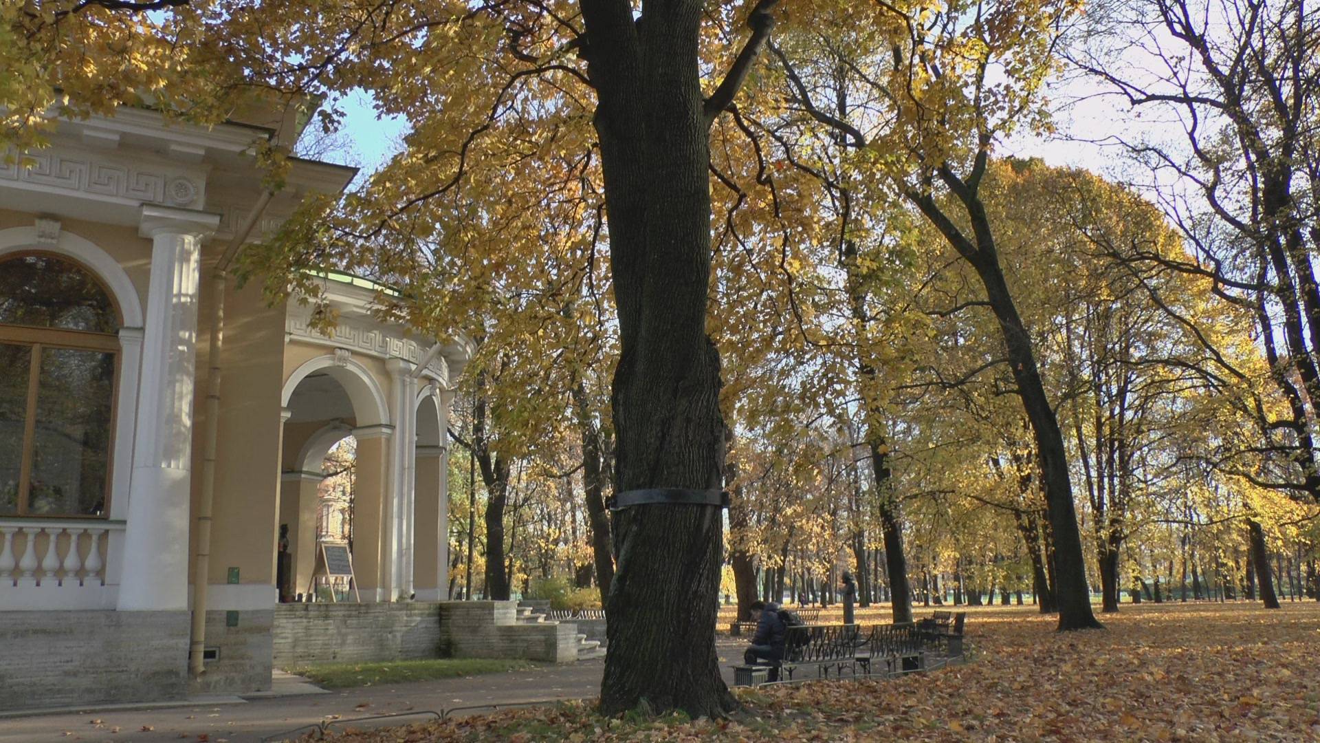 Чем ближе к снам осенним..