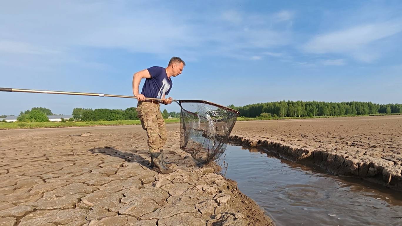 Никогда в жизни, я так рыбу еще не ловил.