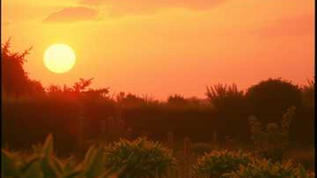 Мой светлый сад v2