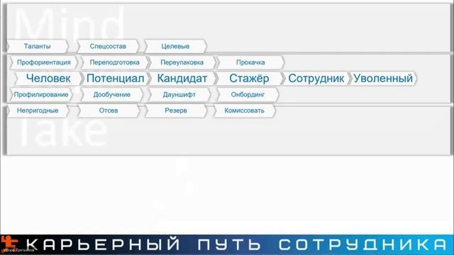 #HRM КАДРОВЫЙ ПУТЬ СОТРУДНИКА - стадии и процессы (фрагмент совещания 250515 ветклиника "Джунгли"
