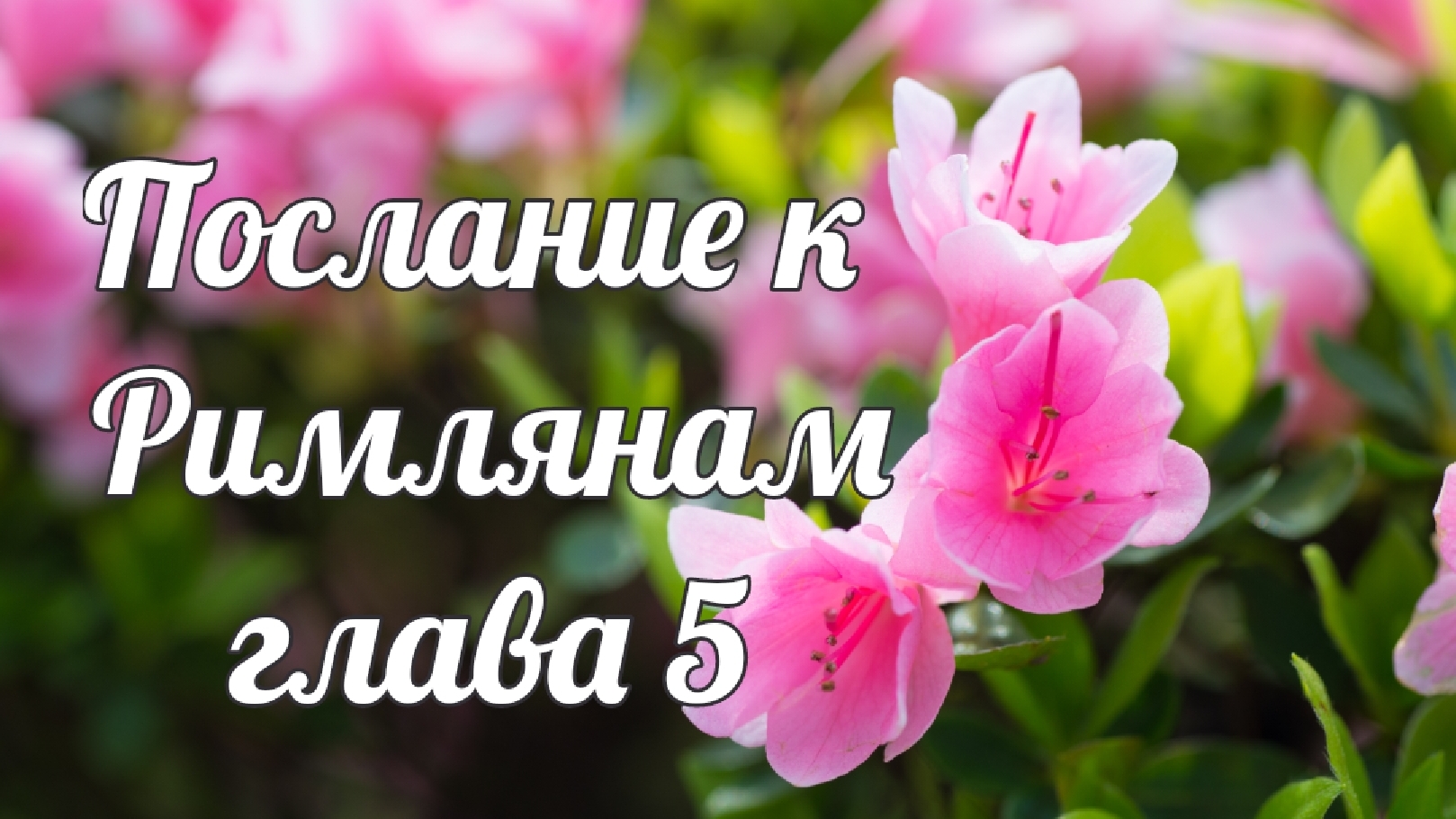 Послание к Римлянам глава 5