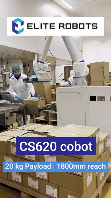 Elite Robots All-in-1 Palletizing - Meat factory East Europe