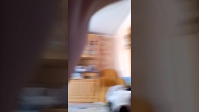 милый котик 10 серия (1 часть) 3 сезона
