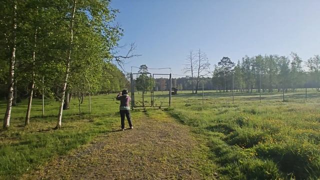 Попытка Снять ПУГЛИВЫХ ОЛЕНЕЙ на видео..