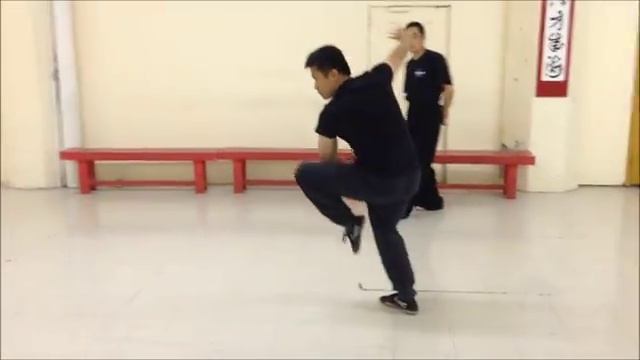 Хай Ян Хэбэй Синъи Таолу "17 форм"