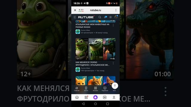 Разоблачение на Funny Vibes