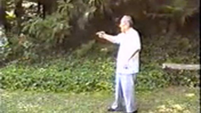 Ма Юэлян туйшоу 2