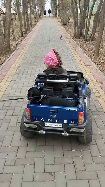 Томск-Красноярск, 2025_06. Пёс в автомобиле