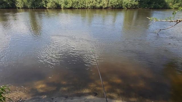 На рыбалку на Скутере ГЭЛАКСИ..ПЕРВЫЙ ПОДЛЕЩИК В этом Сезоне..