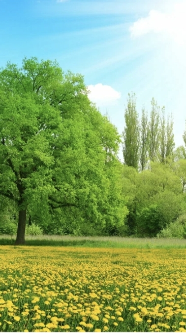 ЛЕЕЕЕЕЕЕЕЕТООООООООООООО!!!!!!!!!!!