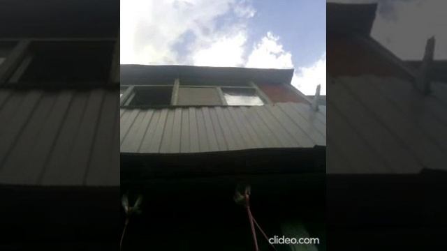 Стукачку не пакуют в психиатрию -20250531-131626