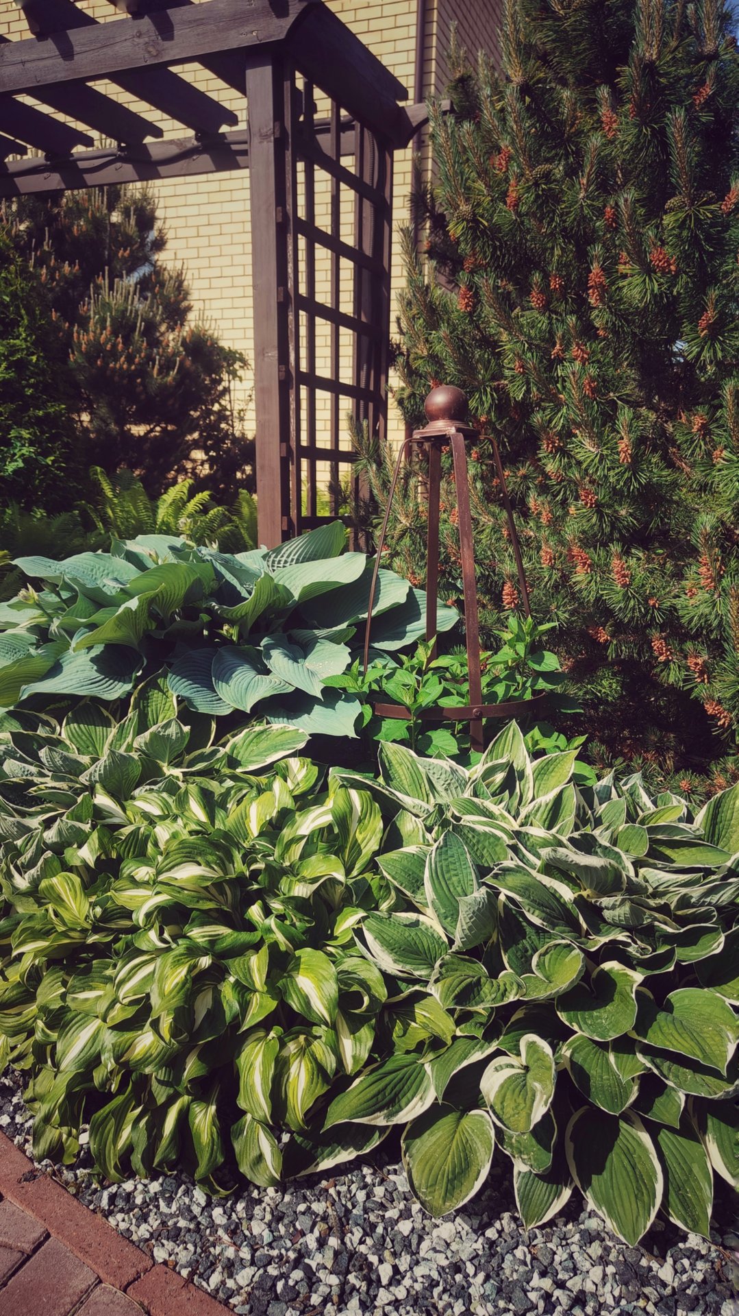 первый день лета 🌞🌿💚