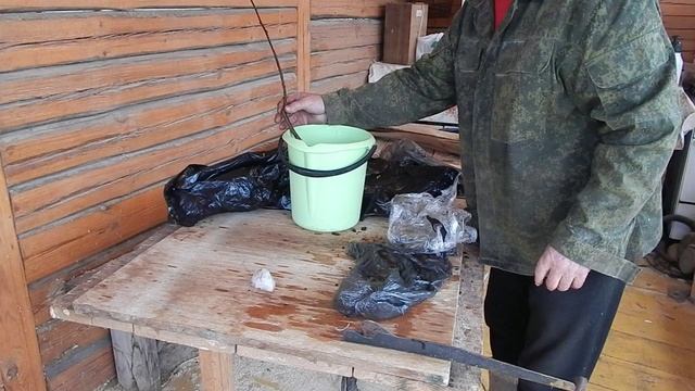 Удачно сохранил и посадил купленный саженец зимой в магазине