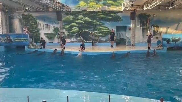 🐬Вызов самой природе🐬Парные танцы дельфинов🐬Анапский дельфинарий 🐬