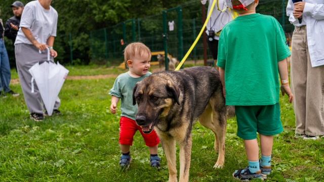 Пикник с Котодетками 14 и 15 июня! ВСЕМ БЫТЬ! kotodetki.ru 👈