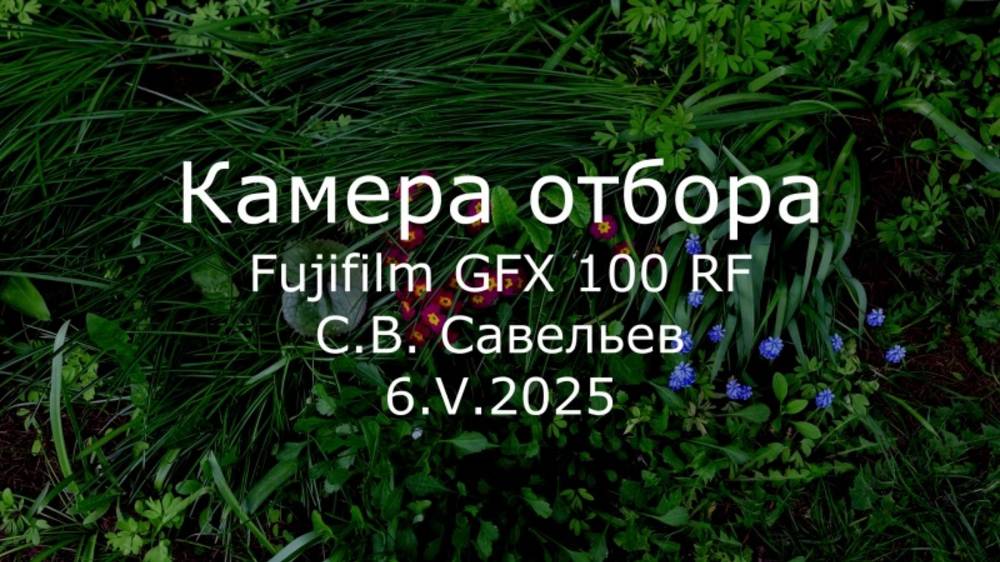 С.В. Савельев – Камера отбора Fujifilm GFX 100 RF