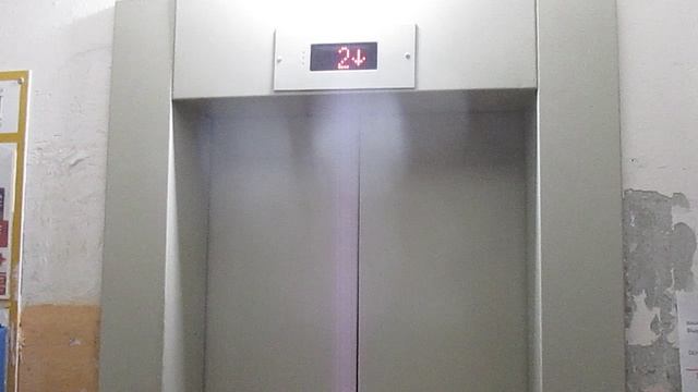 4/4 лифта Ecomaks-(ЩЛЗ), музыкал. в под. 3 @ ПЖК «Заря» (5)