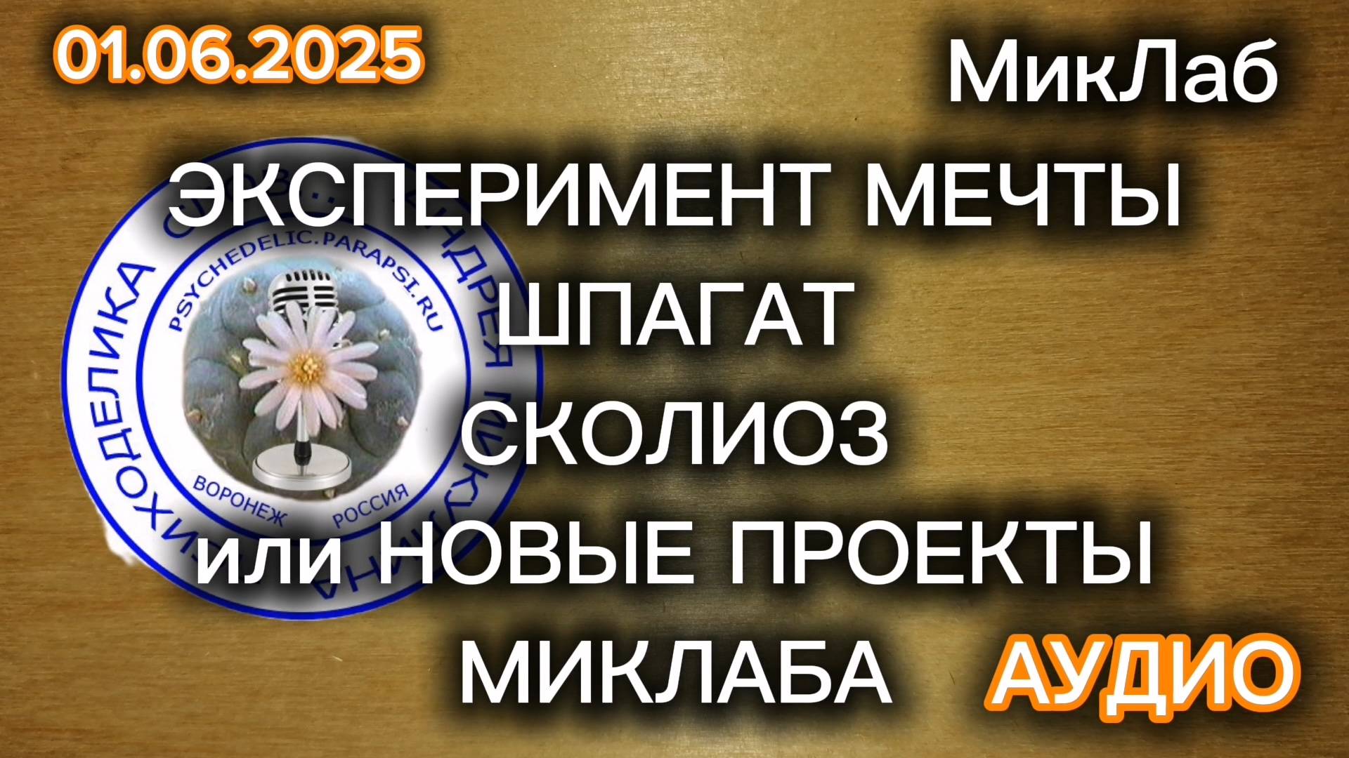 Эксперимент Мечты, Шпагат, Сколиоз или Новые Проекты МикЛаба. Психоделика Слов с Андреем Микулиным