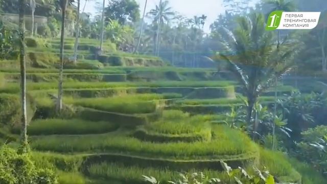 Жизненный ресурс часть 1 - физическое здоровье - Медитация внутренней улыбки