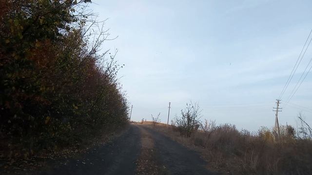 Опустевший посёлок Константиновский, Романовский район.