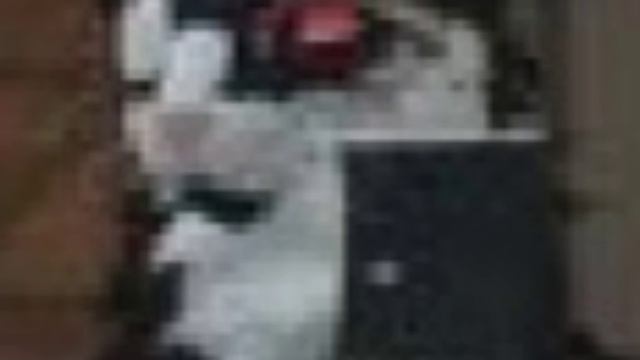 Для Небесной Лапы