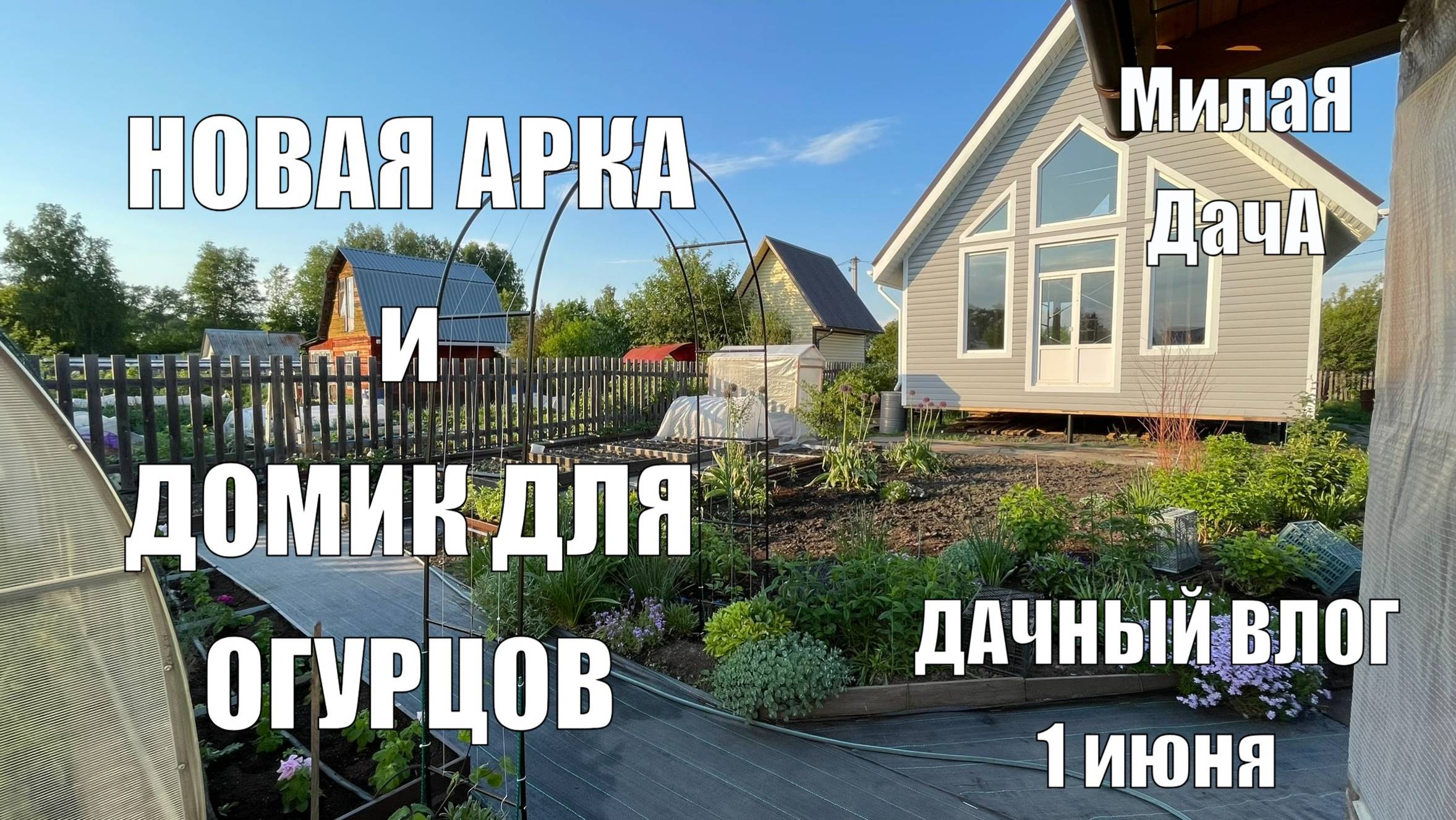 Увядают гортензии | Новая арка | Дачный влог 1 июня