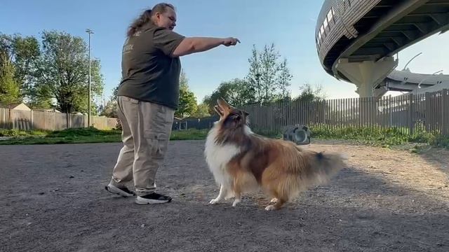 Хуру и трюк "конь-огонь" :) Июнь 25