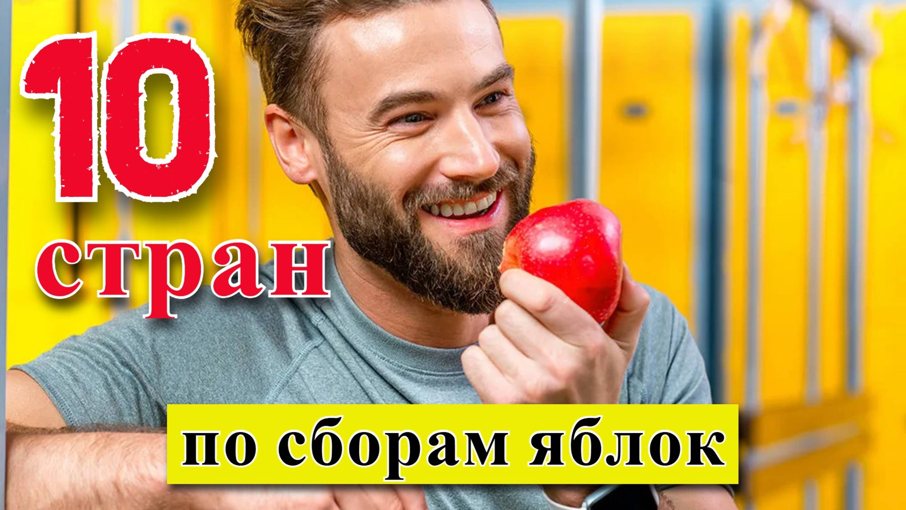 ЯБЛОКИ ТОП 10 стран по сборам яблок (1961–2023)