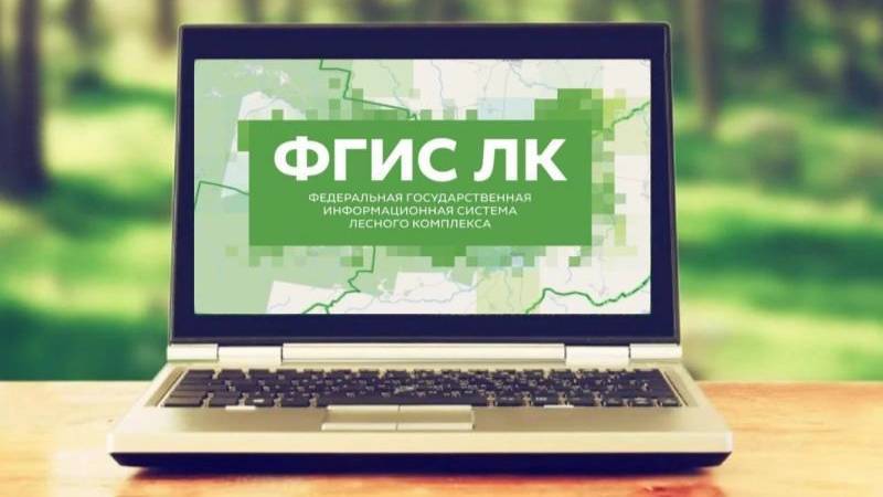 Отчеты по охране и защите лесов