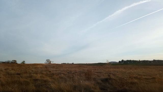 Посёлок Константиновский, Романовский район.