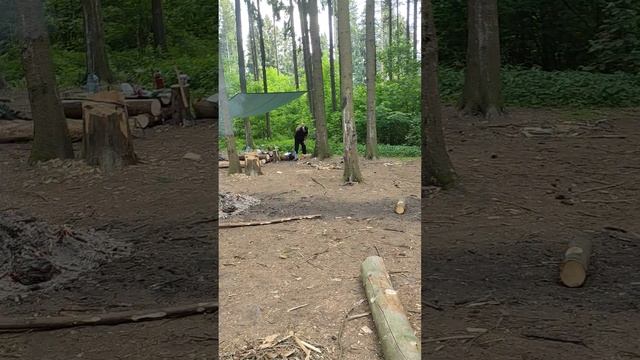 31.05.2025  ПОРУБАС #42