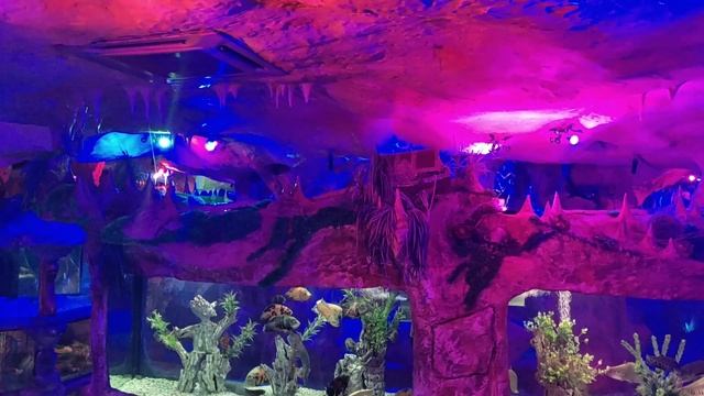 2024 декабрь  Евпатория Аквариум