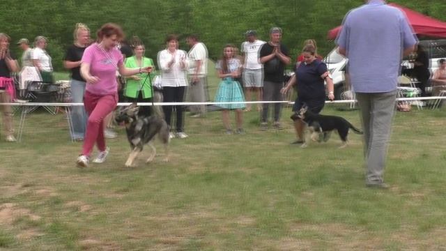 Сравнение на ЛБ