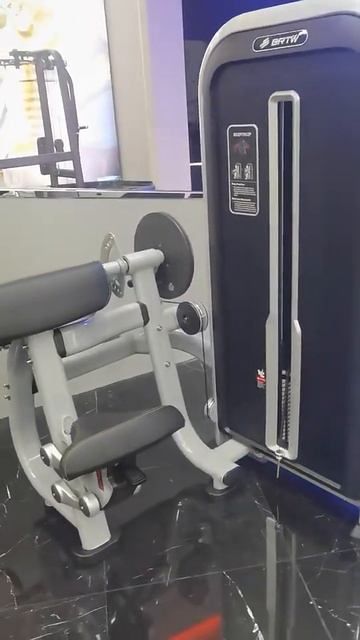 Бицепс и трицепс-машина Insight Fitness TY26