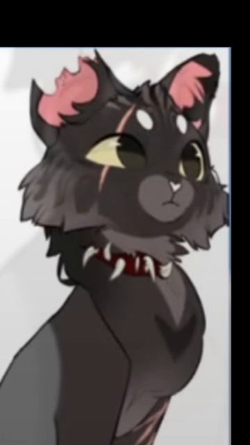 Для Кошмарной звезды