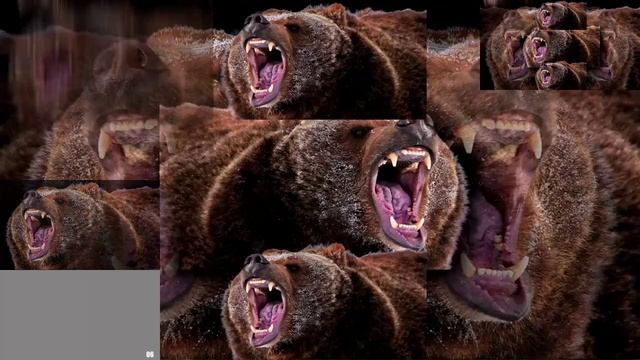 Медведь злится Scan has a Sparta Pulse Base V7 Remix