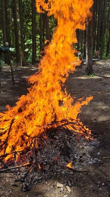 31.05.25 ПОРУБАС # 42