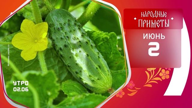 Люмос в телепередаче "Утро" на канале ДОН24