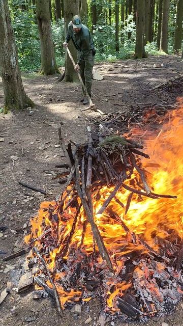 31.05.2025  ПОРУБАС #42