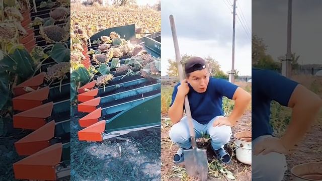 Батя и картошка🤣🤣