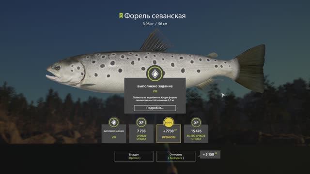 Русская Рыбалка 4-Задание: Форель Севанская оз. Куори