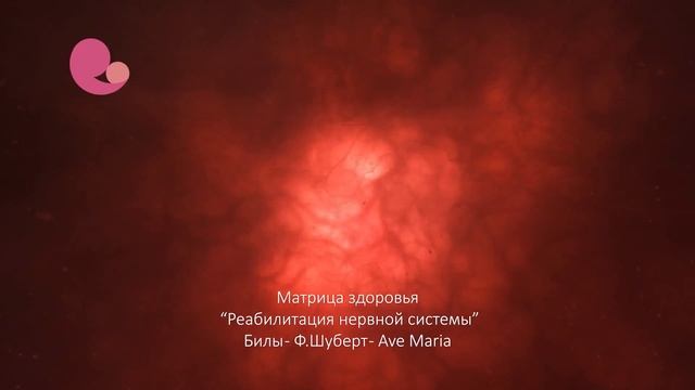 Матрица здоровья ─ «Реабилитация нервной системы»