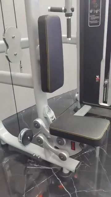 Пэк-дэк Insight Fitness TY04