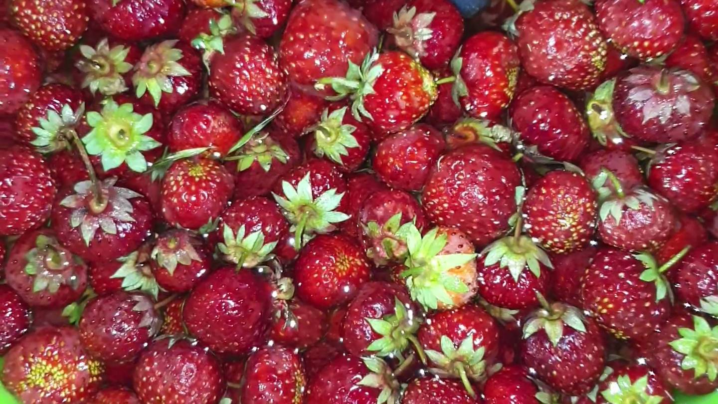 Купаем клубнику